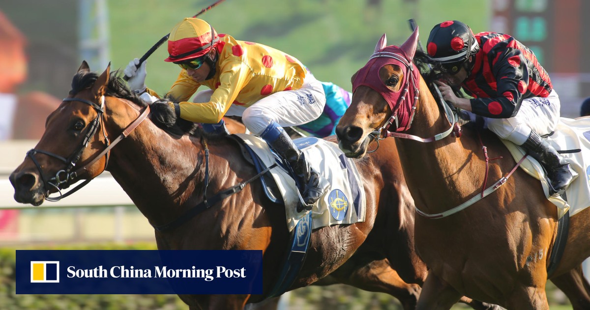 'Flying' Akeed Mofeed ready to stake early claim to Horse of the Year ...