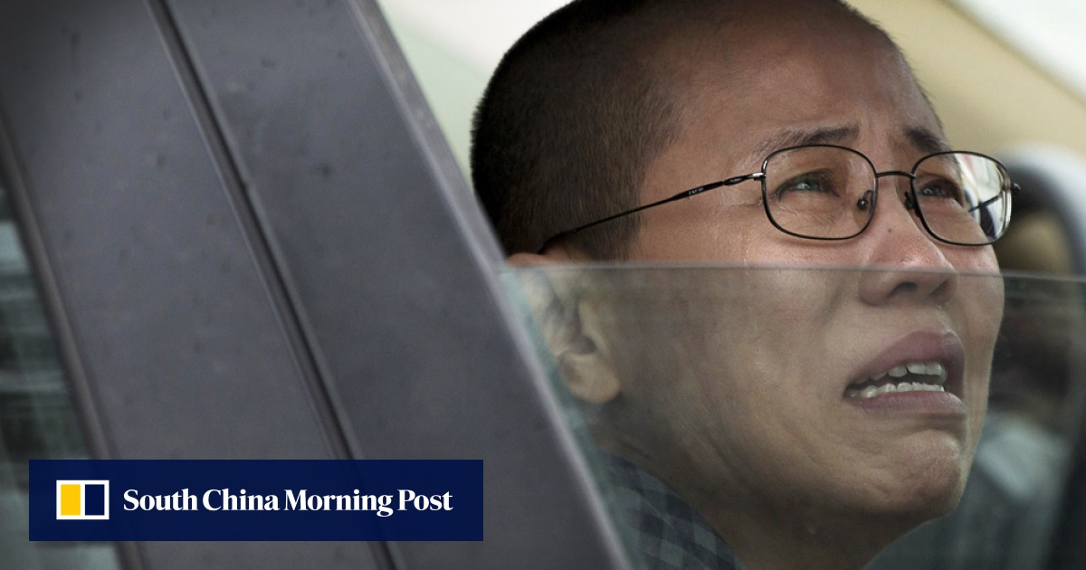 Liu Xia, wife of China’s jailed Nobel laureate Liu Xiaobo, hospitalised ...