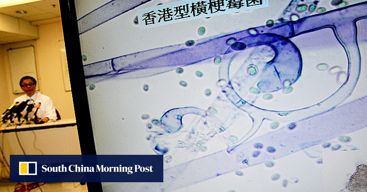 One new superbug infection every 18 minutes in Hong Kong public ...