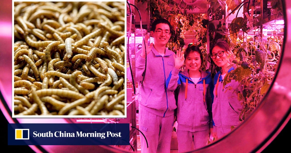 A diet of worms: Chinese volunteers spend 105 days eating creepy ...