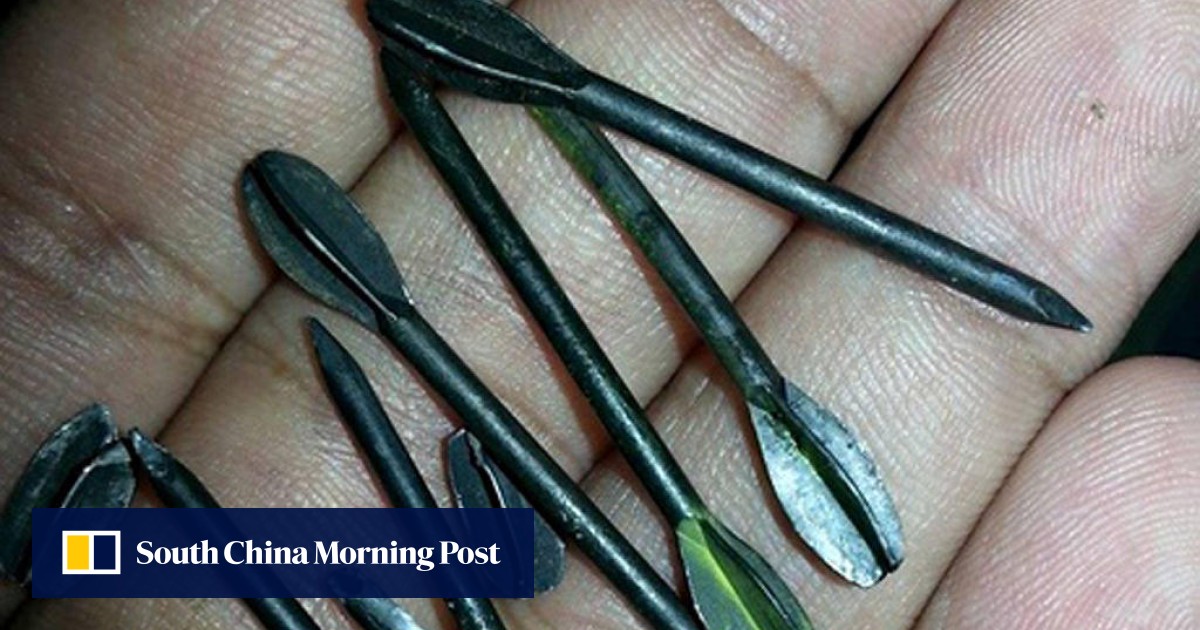 Israel using flechette dart weapons in Gaza, says human rights ...