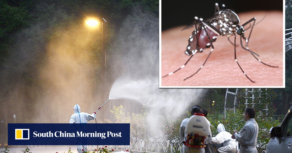 Japan confirms 22 people affected by first dengue fever outbreak since 1945 | South China ...