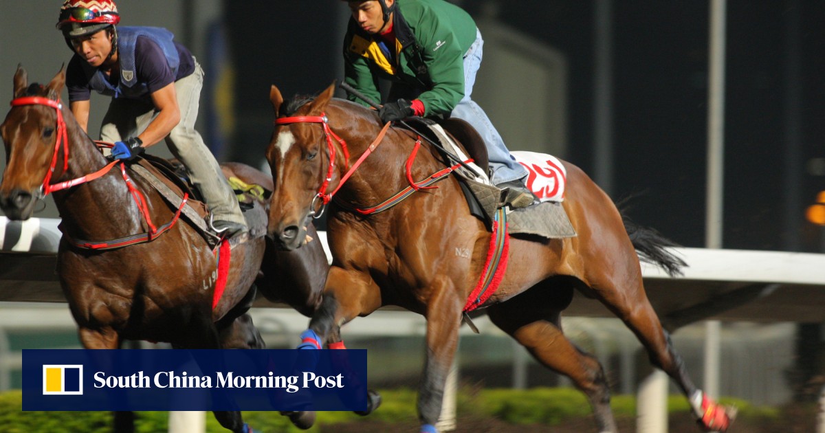 Howard Cheng gets two-month suspension over October 12 race | HK Racing ...