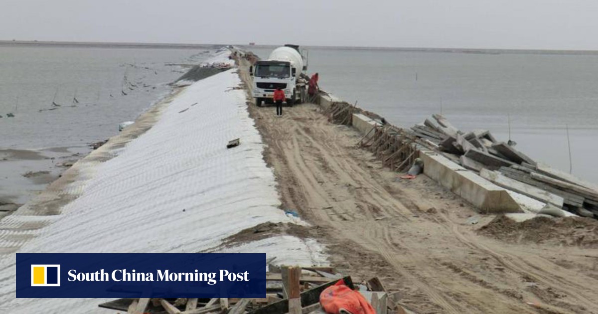 Concern over great seawalls of China: once lush wetlands surrounded by ...