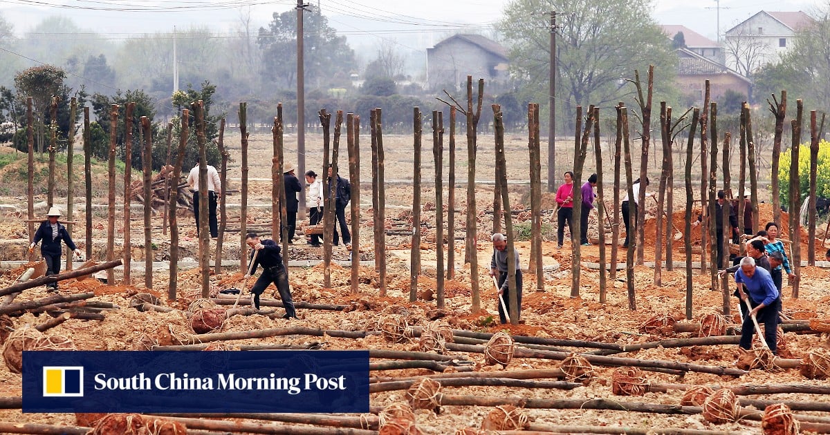 Heavy metal pollution in Hunan soil exceeds China’s limits by 1,500 ...