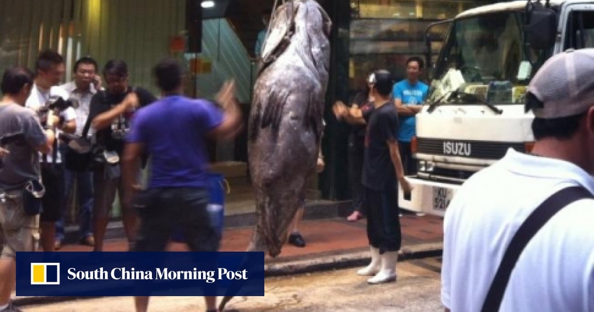 Rare fish species never before seen in Hong Kong waters are discovered ...