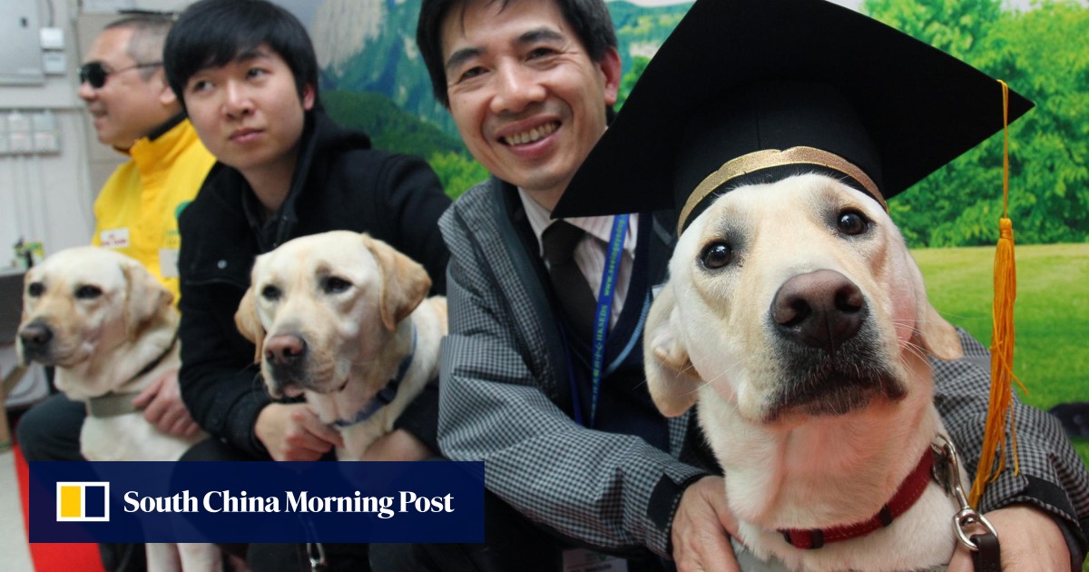 First guide dog training centre in Hong Kong opens | South China ...