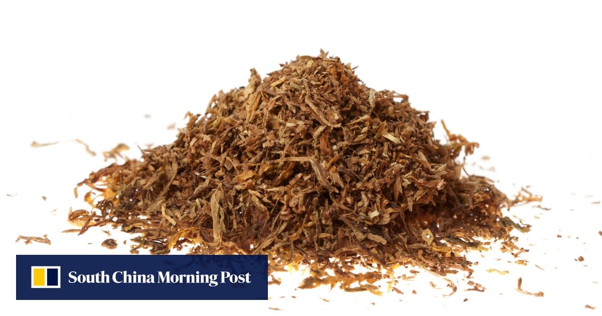 How to cook using tobacco, for sweet and savoury dishes | South China ...