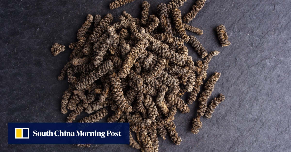 Long pepper - like black pepper, only hotter | South China Morning Post