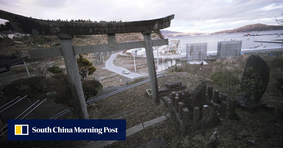 Experts divided over anti-tsunami sea walls being built along Japanese ...