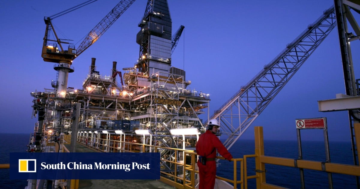 Hilong seeks to expand oil and gas service sales in Asia | South China ...