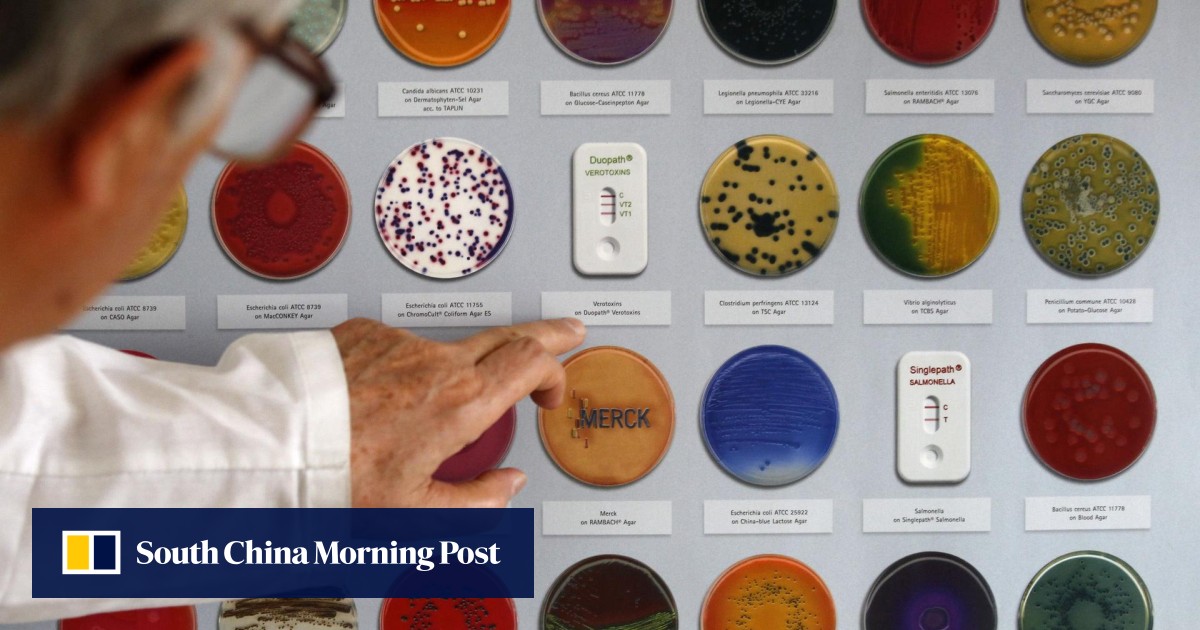 Chinese scientists create E coli superbacteria for possible use in ...