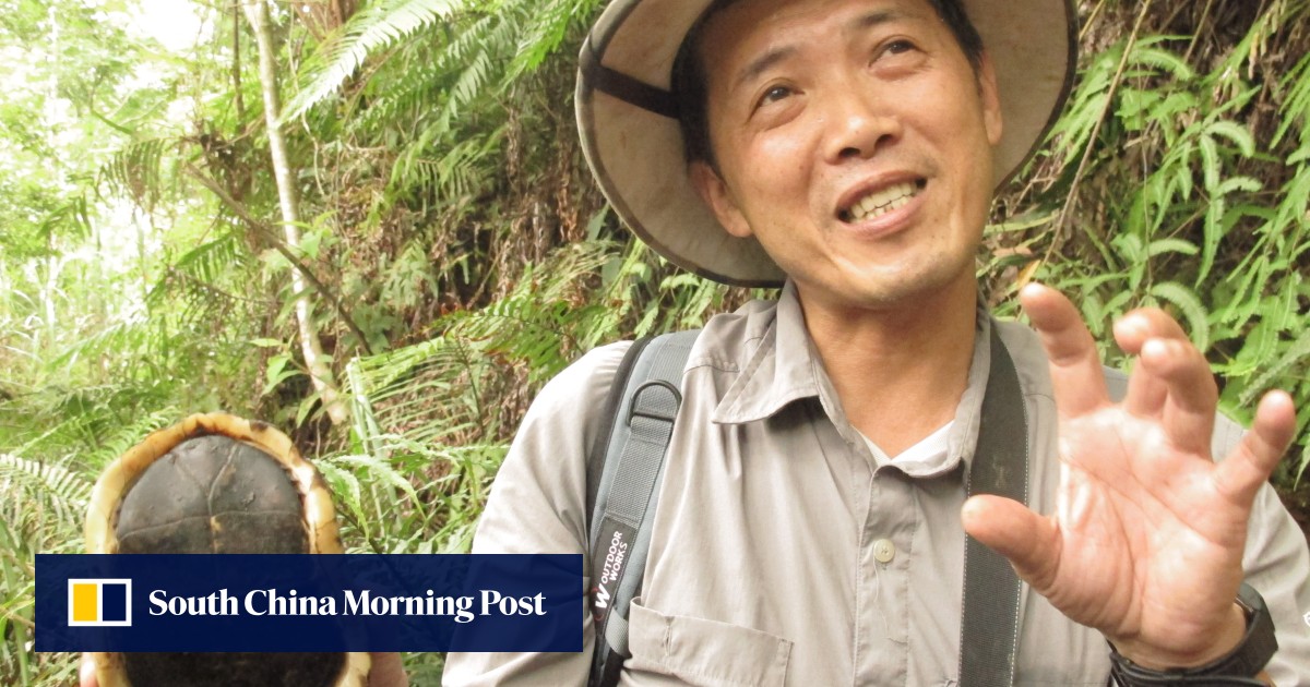 New Taiwan conservation centre to give threatened turtles a fresh ...