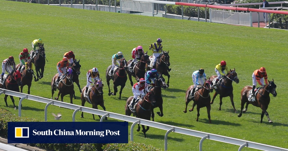 2014-15 Hong Kong racing season: Numbers tell the tale of a record term all around | HK Racing ...