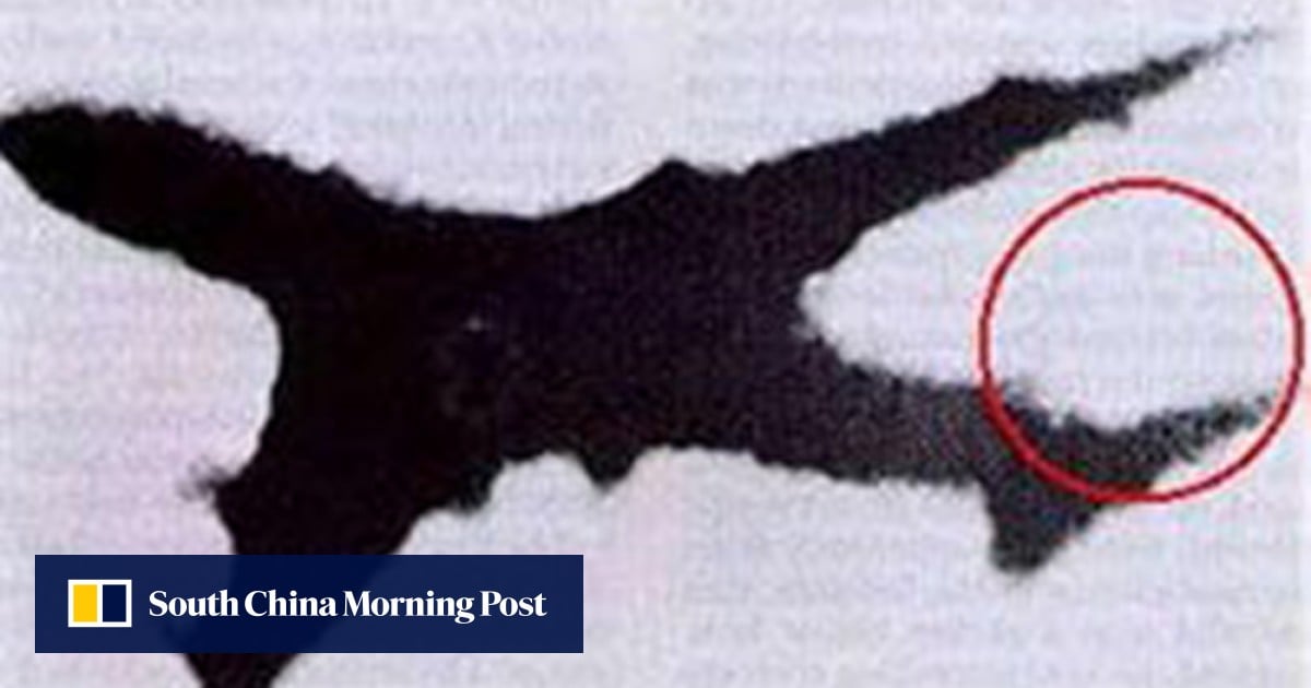 Remembering Flight 123, deadliest single-plane crash in history – and ...