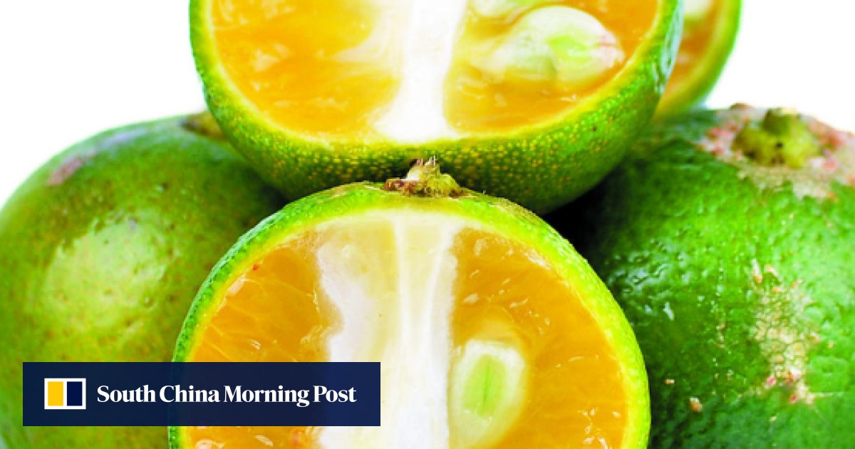 Calamansi packs a punch - in seafood, with meat or as a refreshing ...