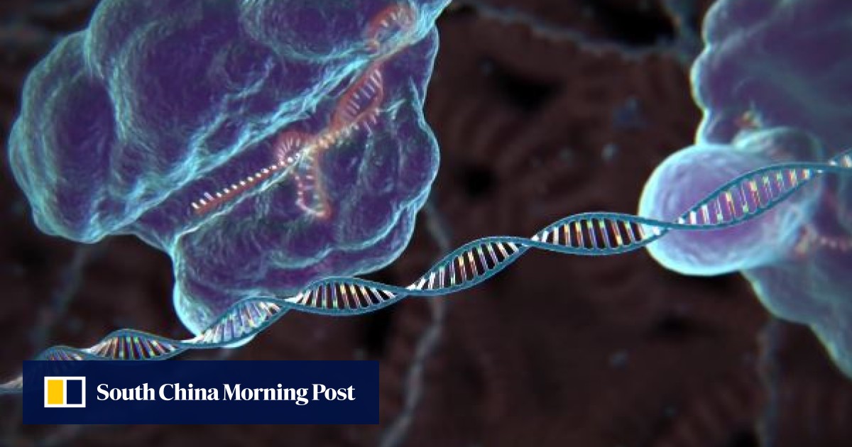 Gene editing used by Chinese researchers on human DNA is Science ...