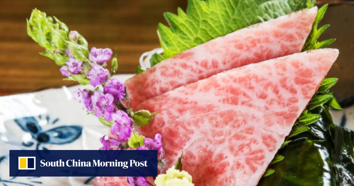 Kyoku offers a haven of hope to lovers of Japanese cuisine | South ...