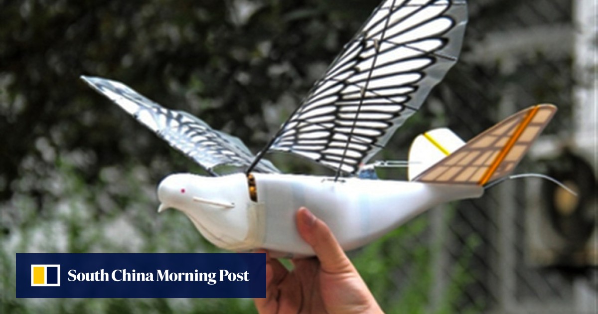 Flock of birdlike drones on mission to spy across China | South China ...