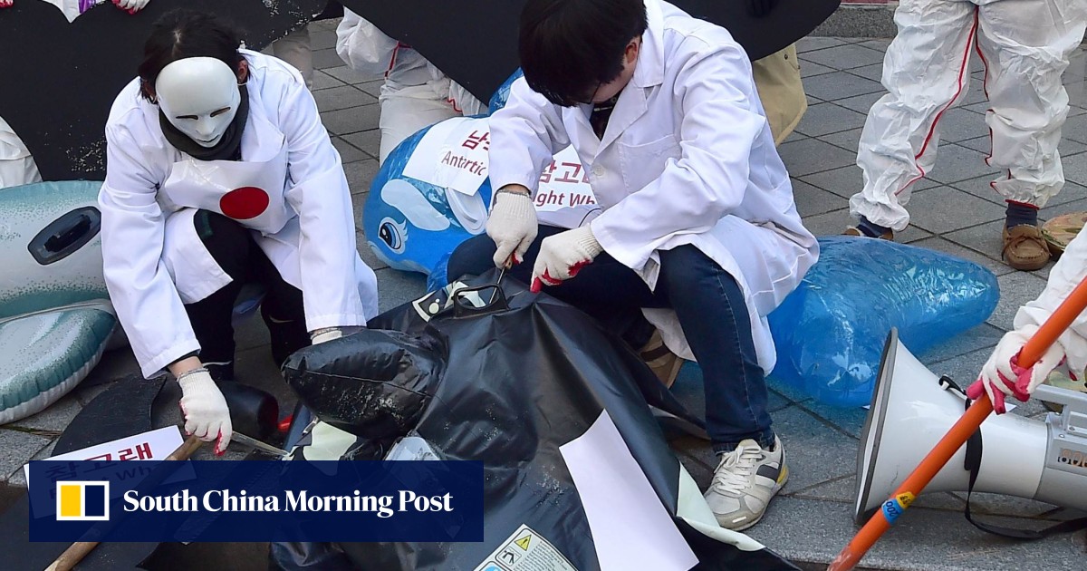 33 countries protest Japan’s resumption of research whaling after it ...