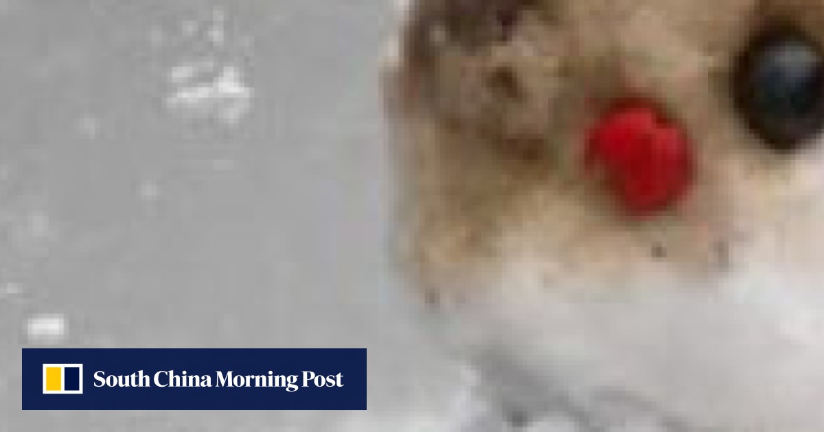 That’s snow ugly! Chinese compete for season’s ugliest snowman as big ...
