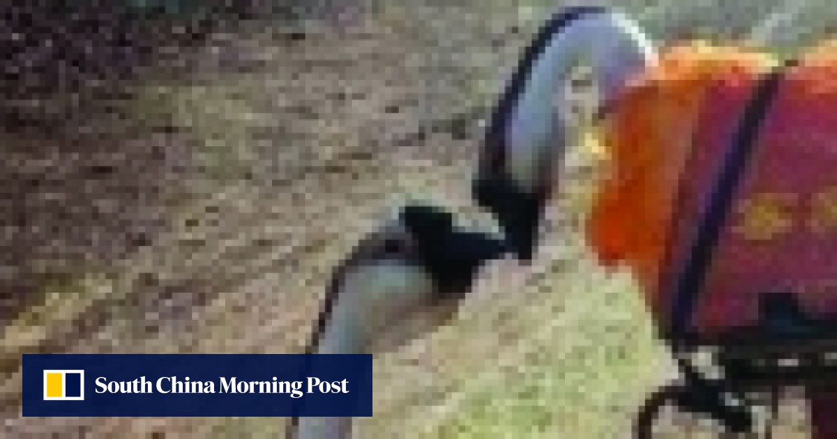 A ‘kiss’ goodbye: geese become Chinese internet sensation after picture ...