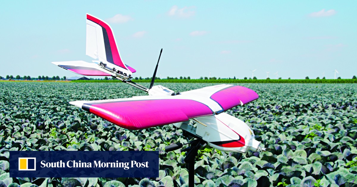 Fitbit for cows, drones to monitor plants – how tech is changing the ...