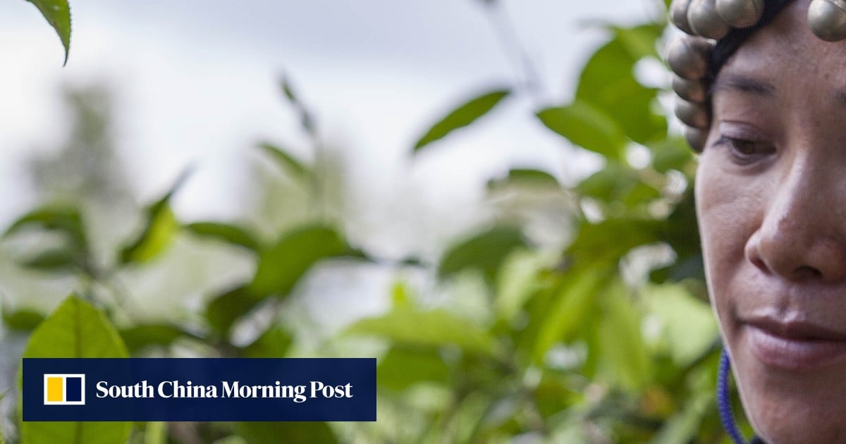 Chinese tea-based beauty brand Cha Ling looks to revitalise human skin ...