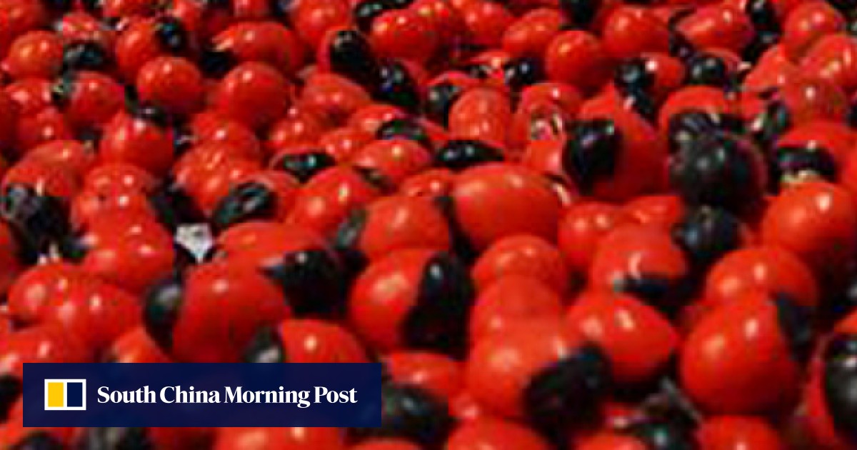 Pretty but deadly: Chinese customs officers stop traveller returning ...