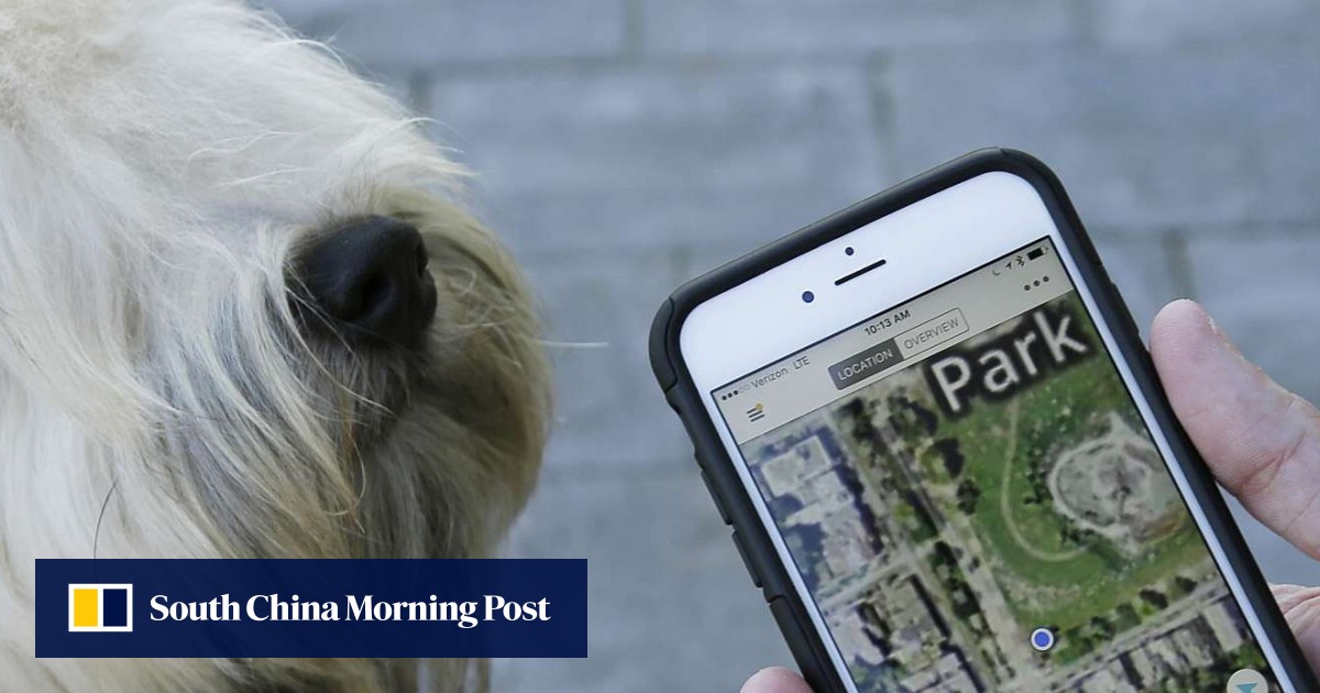 Pet tech: smart gadgets offer new ways to keep animals safe and ...