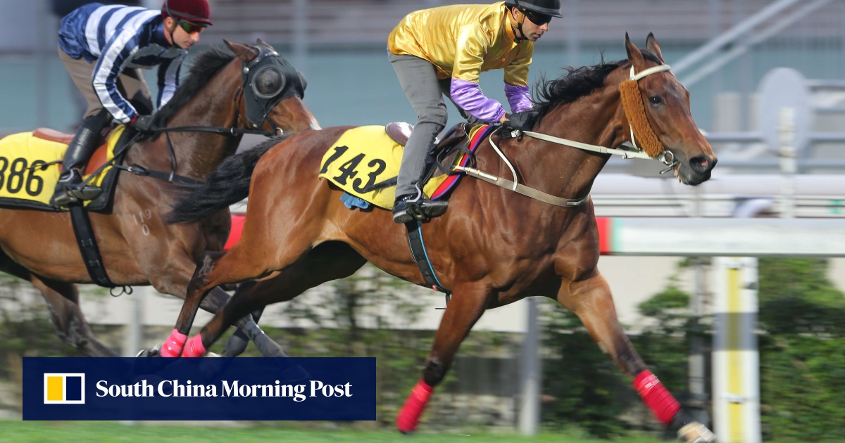 Dubai-bound sprinters Peniaphobia, Master Kochanwong, Domineer ready ...