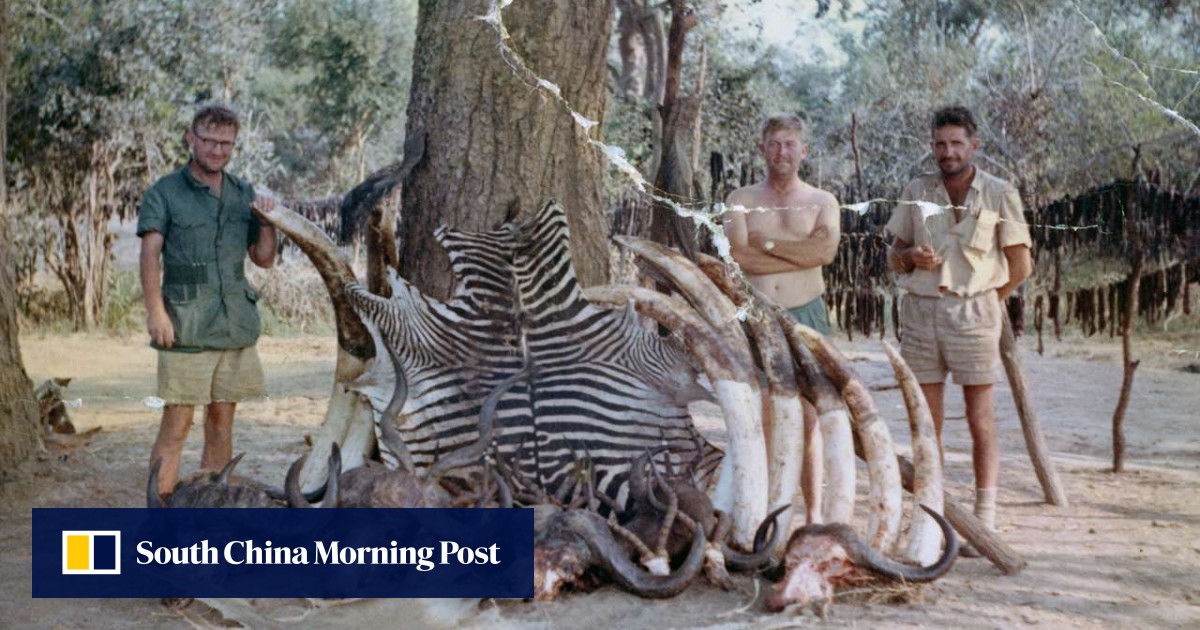 Book review: a white boy in Africa gets lessons in life and love ...