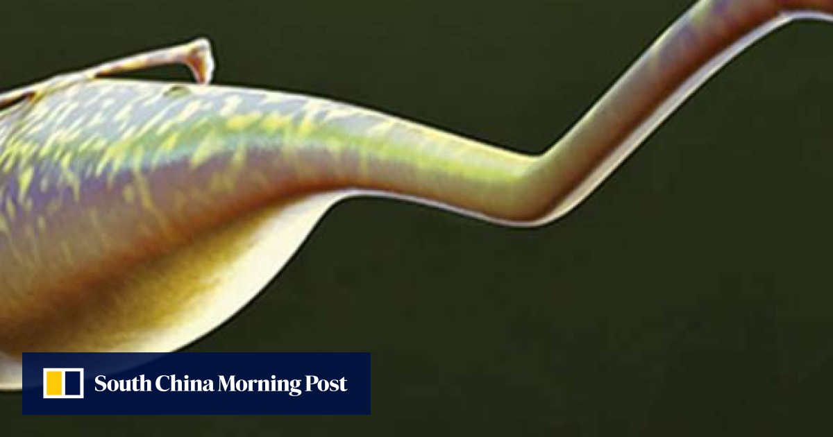 The Tully Monster, one of the weirdest creatures that ever lived, has ...