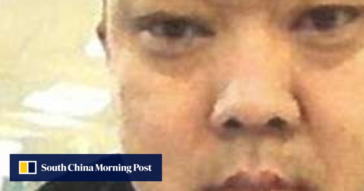 Chinese national Su Bin admits hacking US defence firms to steal plans ...