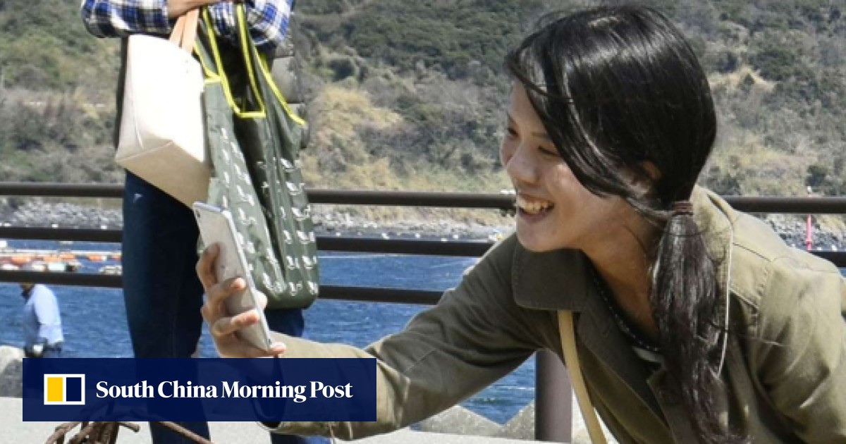 How Japan’s Cat Heaven Island became a tourism magnet, and what locals ...