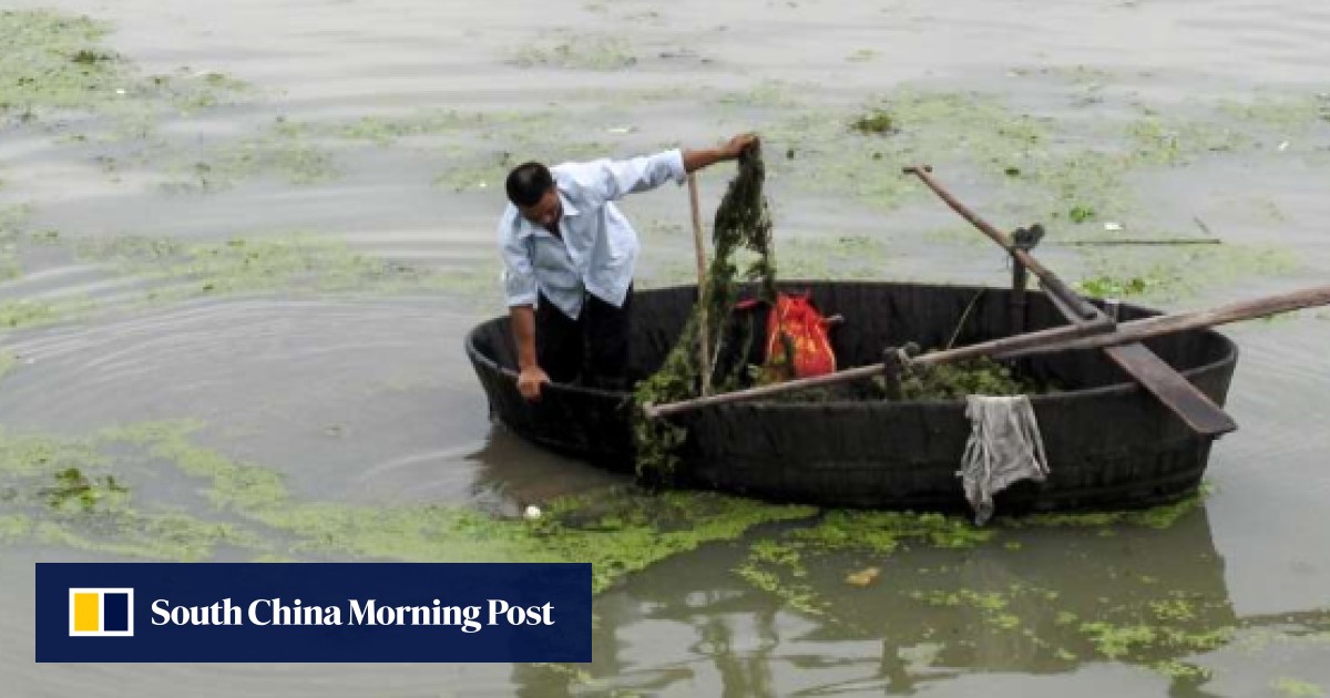 Watershed crisis: China’s cities tap into sea of polluted water | South ...