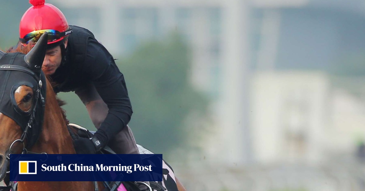 Brett Prebble gushes over new sprint partner Lucky Bubbles | HK Racing ...