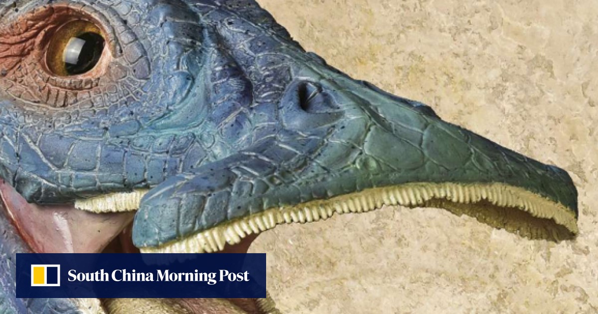 Chinese fossil of hammerhead marine reptile so weird its finders were ...