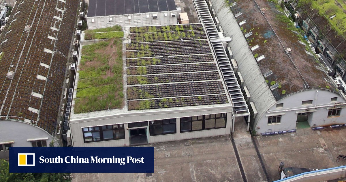 Chinese University of Hong Kong to remove green roofs, Buildings ...