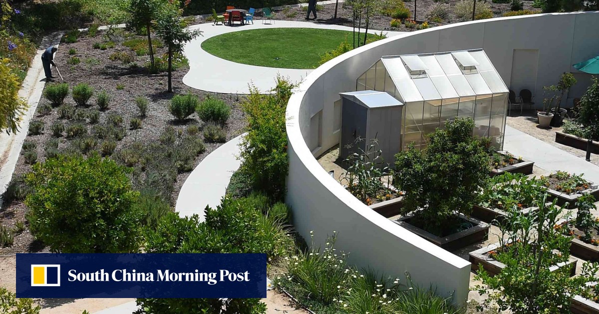 Chinese developer Modern Land finds green buildings more competitive in ...