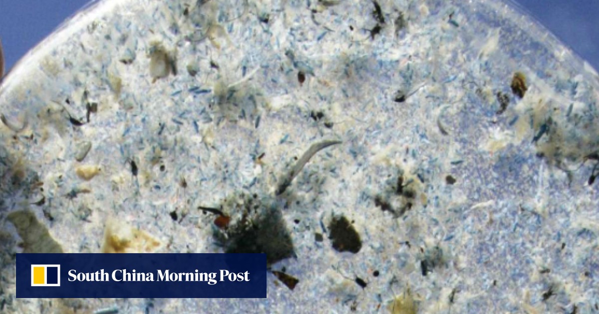 Mussels, lobsters and oysters: microplastic pollution finds way into ...