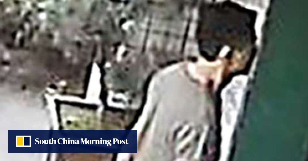 ‘Bogus Chinese police chief’ held after taking girlfriend on tour of ...