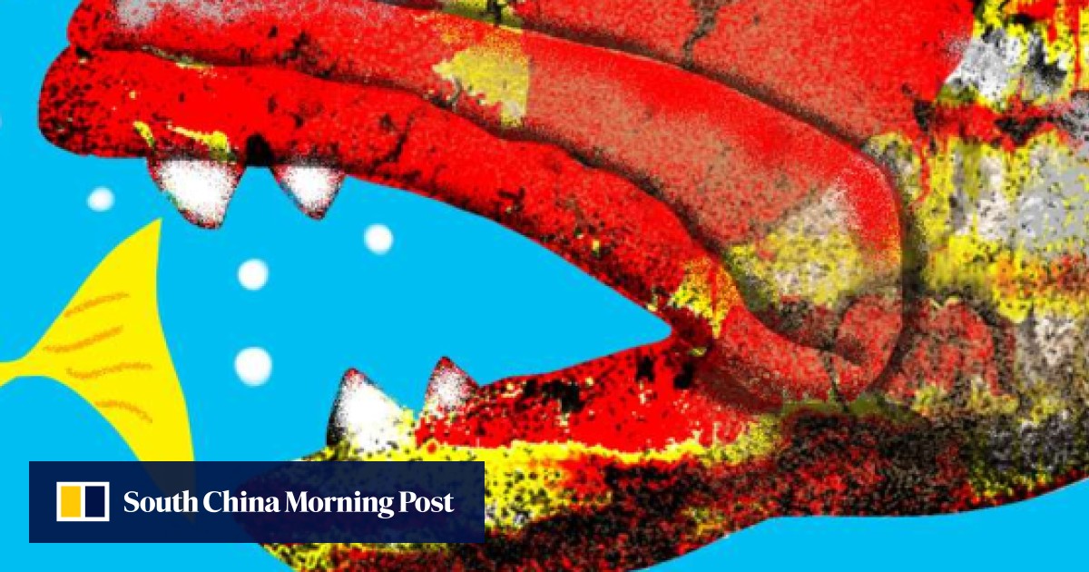 In the South China Sea, Beijing is a big fish in a small pond | South ...