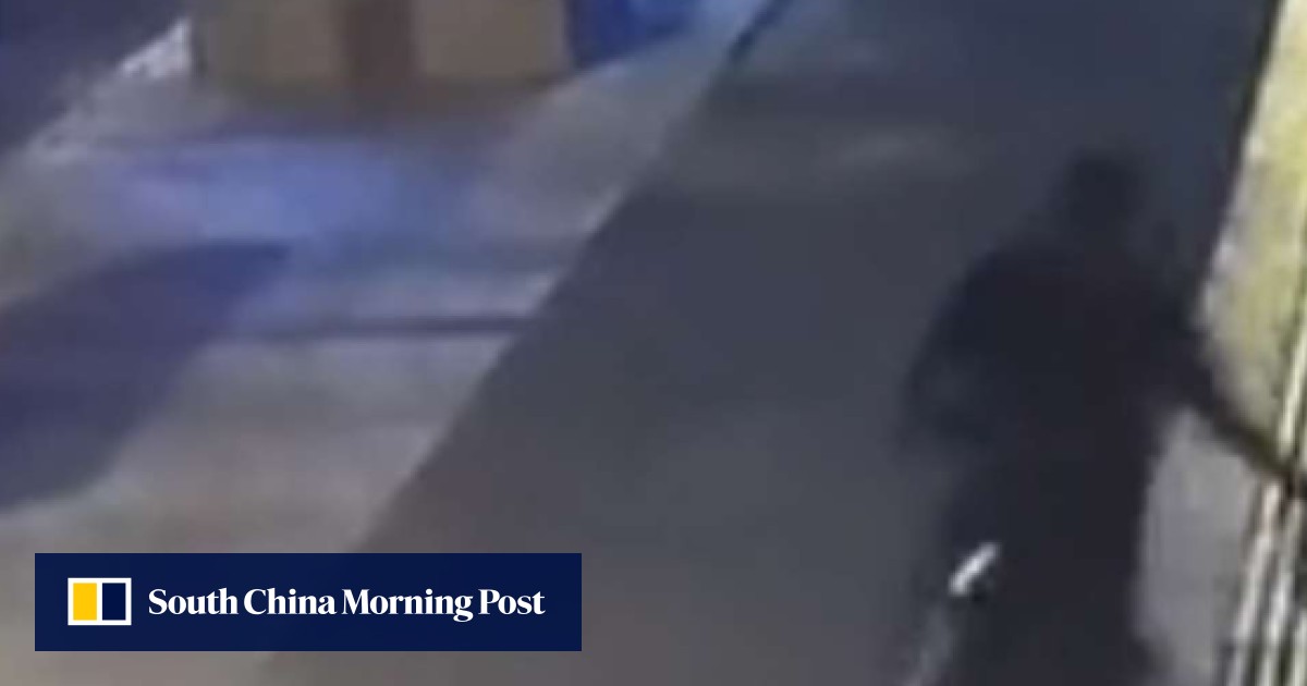 Wealthy Chinese man robs five women in one night ‘for the thrill ...