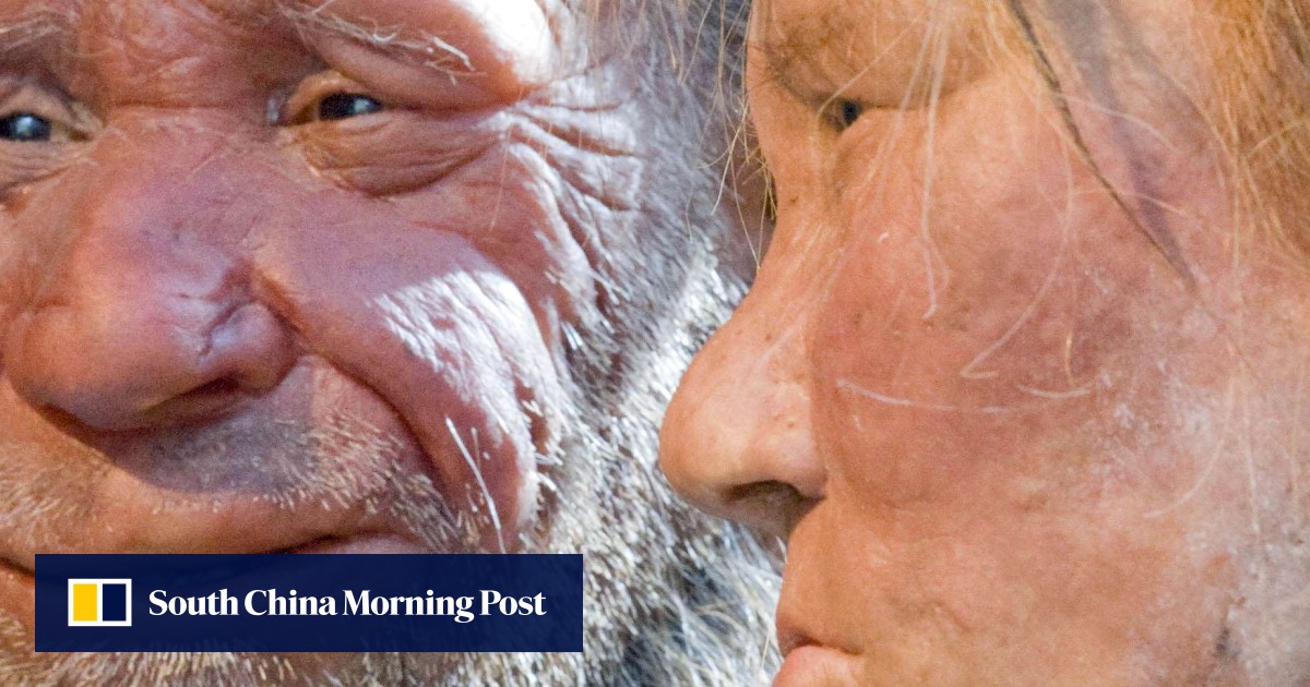 A Neanderthal Marco Polo? The prehistoric Chinese skull with intriguing ...