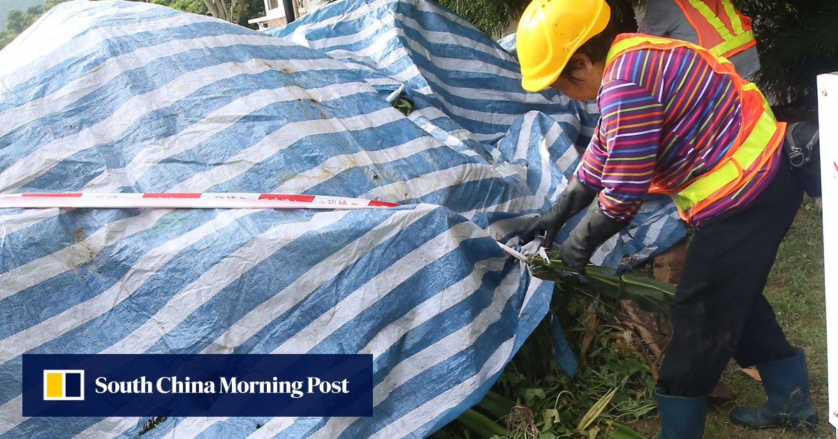 Officials share blame for rampant abuse of government land | South ...