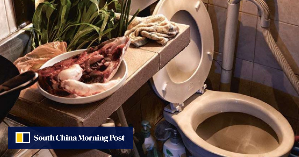 Coffin cubicles, caged homes and subdivisions … life inside Hong Kong’s ...