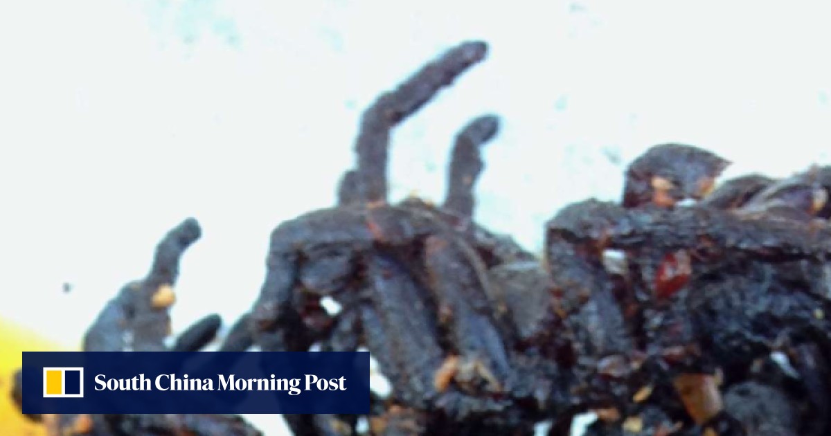 From fried spider to grilled bat, four of the best Southeast Asian ...