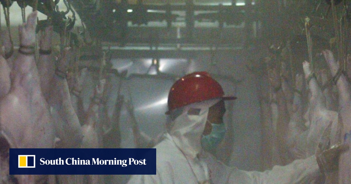 They suffered nightmarish deaths, trapped in giant freezers. So why isn ...