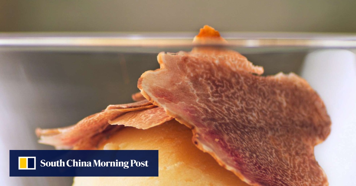Truffle season: special menus with dishes featuring shaved fungus have ...